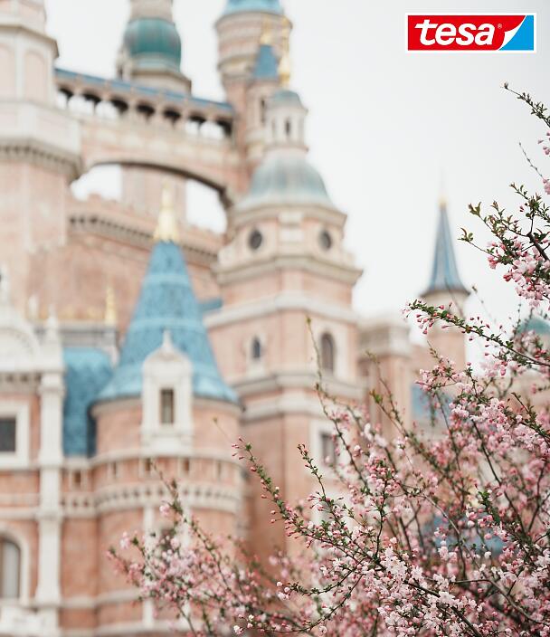 员工活动 - tesa德莎胶带官网